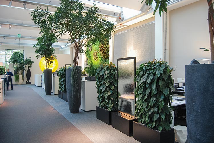 The Health—And Economic—Benefits of Biophilic Design | Built