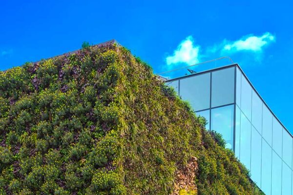 Here Comes North America’s Largest Living Wall - Built | The Bluebeam Blog