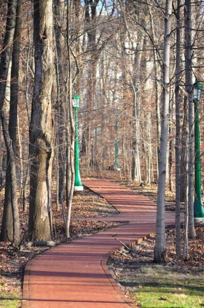 Builder, Spare Those Trees! - Built | The Bluebeam Blog