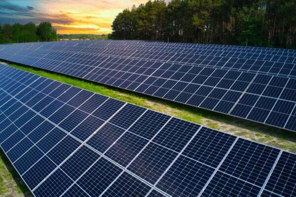 Solar Farm Construction: The Next Big Thing in Infrastructure | Built