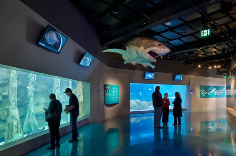 Dive Deep into the World of Aquarium Construction | Built