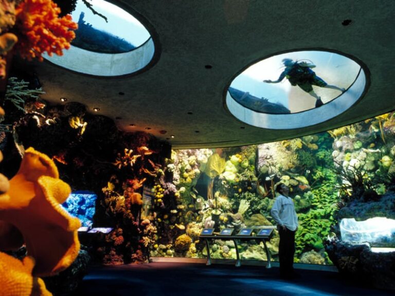 Dive Deep into the World of Aquarium Construction | Built