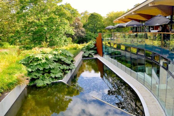 Wellness & Healing Architecture: Thoughtful Construction Pays Healthy ...